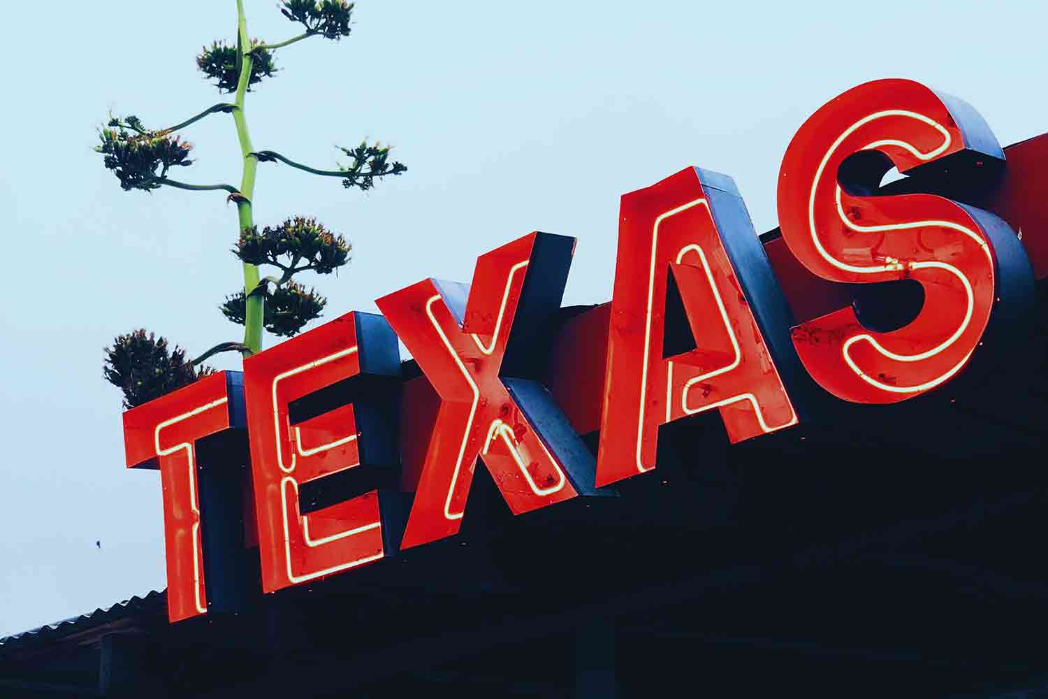Is Marijuana Legal In Texas Marijuana Texas Laws Stoners Rotation